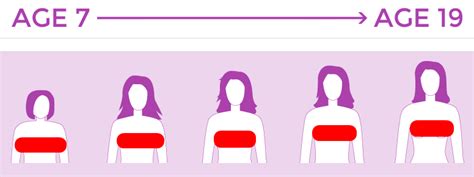 Age Progression Breast Expansion Caption Merystat