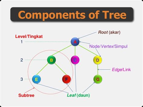 Data Structure Tree