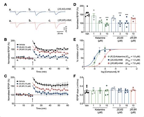 2s 6s Hnk And 2r 6r Hnk Inhibit The Induction Of Ltp A Download Scientific Diagram