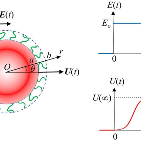Spherical Soft Particle Consisting Of The Core Of Radius A Covered With
