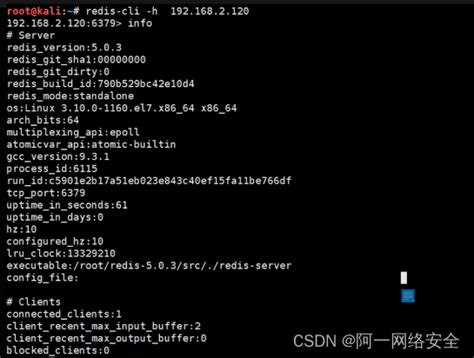 redi未授权访问的两种利用方式 redis未授权读文件 csdn博客