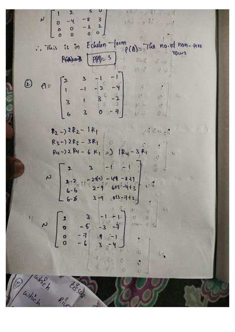 SOLUTION Echelon Form Studypool