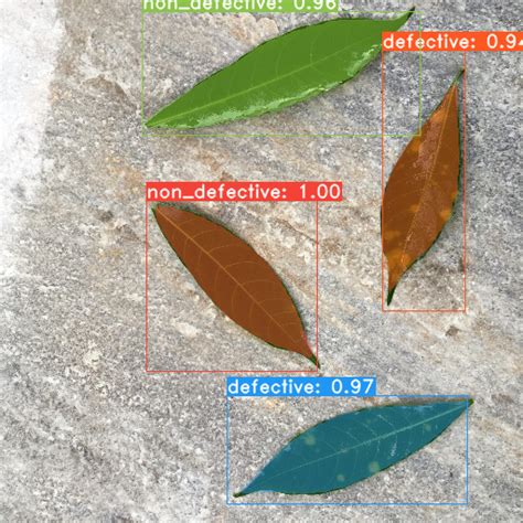 How To Train Yolact Real Time Instance Segmentation With Custom