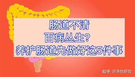 肠胃不好怎么改善有何征兆三招教你肠胃不好怎么改善调养不良胃 知乎