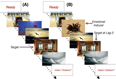 Sustained Visual Attention And The Attentional Blink Paradigm Video Jove