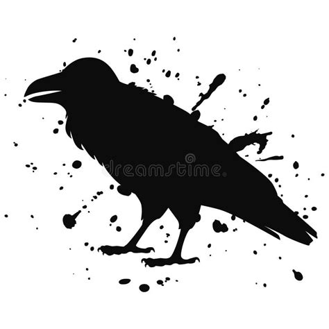Vector La Silueta Aislada De Un Cuervo De La Sentada Cuervo