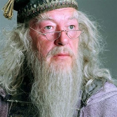 Albus Dumbledore Costume Harry Potter Fancy Dress