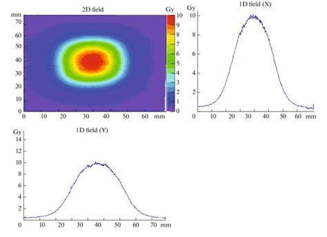 Dosimetric Field Verification Using A Gafchromic Ebt3 Radiochromic