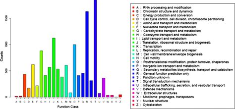 Cog Function Classification Of Consensus Sequences X Axis Represented Download Scientific