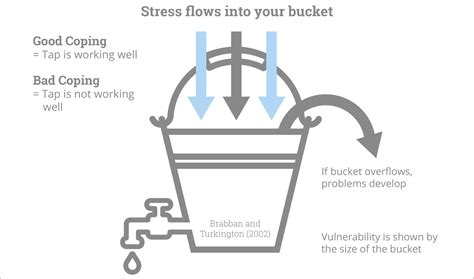 Stress Bucket Analogy Pdf At Jennifer Marshall Blog