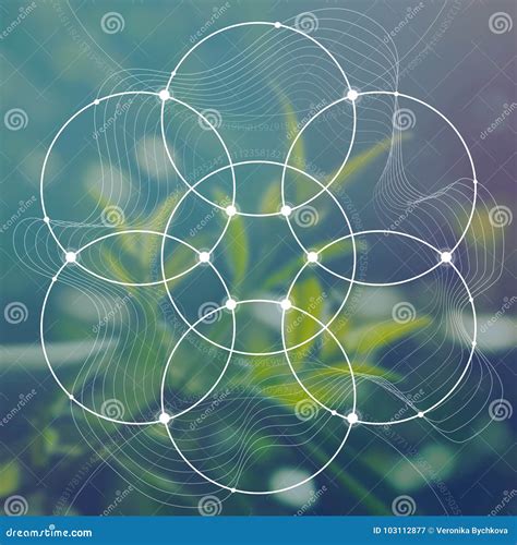 Interlocking Circles Stock Images Download Photos