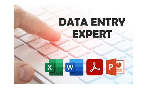 Do Accurate And Fast Data Entry Typing Excel Expert By M Hamza6600 Fiverr