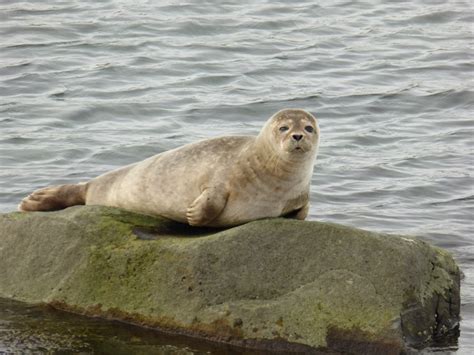 Birgit Wagner Tourist Guide Stga