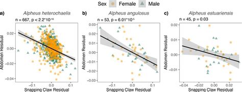 tradeoffs explain scaling sex differences and seasonal oscillations