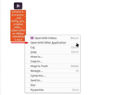 why is mp4 not playing in ubuntu dracula servers tutorials