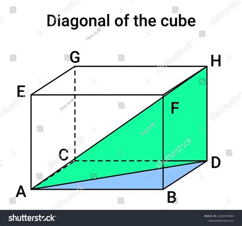 Structure Diagonal Cube Stock Vector Royalty Free 2163176563 Shutterstock