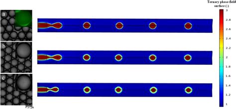 Comparison Of The Experiment²⁷ And Numerical Simulation For Formation