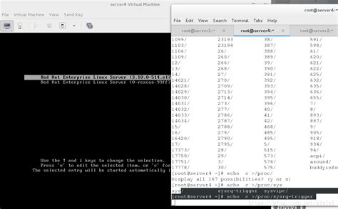 mfs分布式存储 gwmfs csdn博客