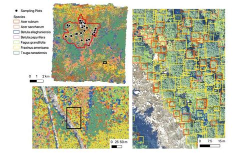 Scientists Use Machine Learnin IMAGE EurekAlert Science News Releases