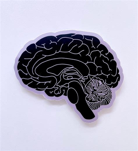 Brain Sticker Vinyl Neuroscience Anatomy Sticker Waterproof Brain Brain Sticker Vinyl Neuroscience Anatomy Sticker Waterproof Brain
