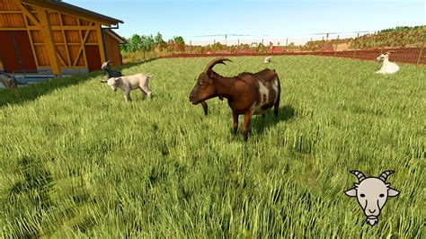 Farming Simulator 25 Hodowla Zwierząt Kozy The Game Tales