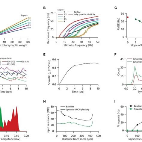 Figure Synaptic Plasticity Accompanied With Hcn Conductance Plasticity Download Scientific