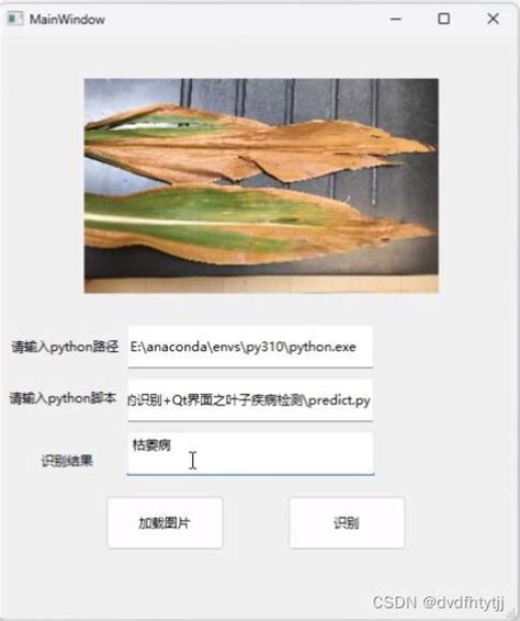 132基于深度学习的识别qt界面之叶子疾病检测检测界面qt Csdn博客