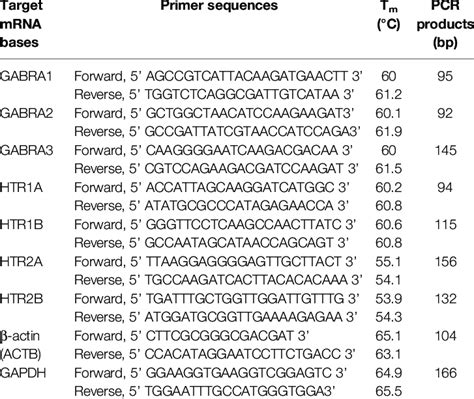 Nucleotide Sequence Of The Forward And Reverse Primers The Lengths Of Download Scientific