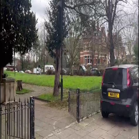Tree Detection Object Detection Dataset By Vidar