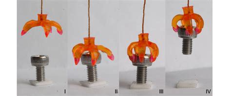 D Printing A Shape Memory Polymer
