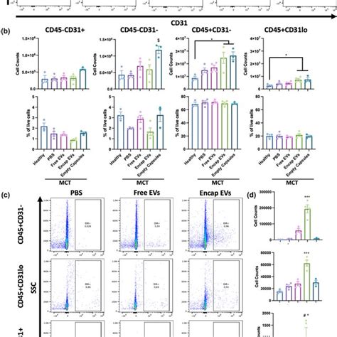 Local Immune Cell Ev Uptake Increased By Microencapsulation Lungs Were