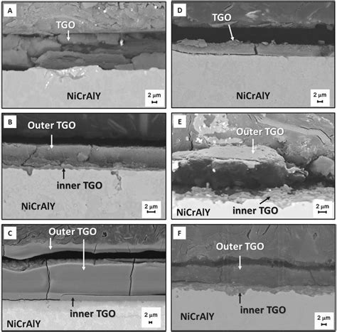 Cross Section Micrograph Showing Tgo Layers Formed On Nicraly By
