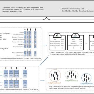Data Curation And The Subphenotyping Pipeline To Study The