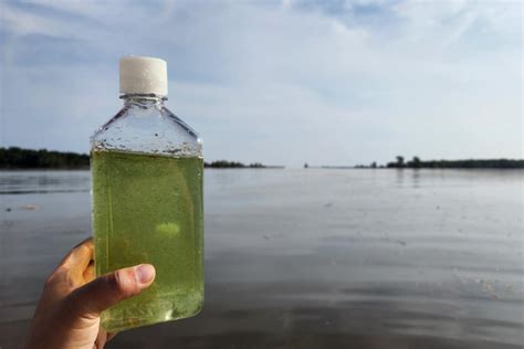 Projects Nerrs Science Collaborative