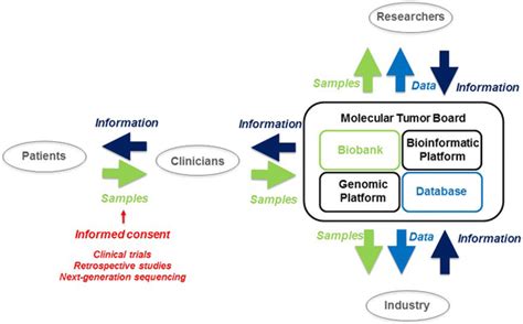 Model Of The Molecular Tumor Board Process Biological Sample Flows And