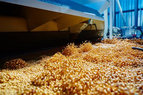 The Role Of Flow Aids In Bulk Material Processing Control Concepts Inc