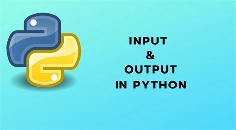 Ввод — вывод или запись — чтение данных в Python 2021 ВКонтакте