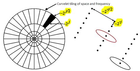 curvelet transform provides an optimal sparse representation of objects