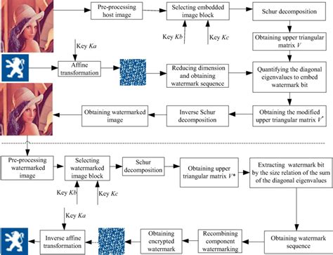 the flowchart of embedding and extracting watermark download