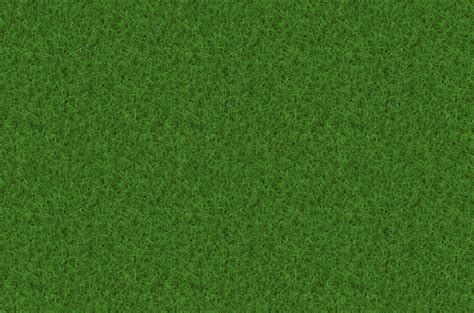 무료 이미지 식물 들 목초지 조직 무늬 녹색 흙 잔디 잎 배경 관목 그물 돌진 할렘 바닥 인조 잔디 잔디 가족 2952x1952
