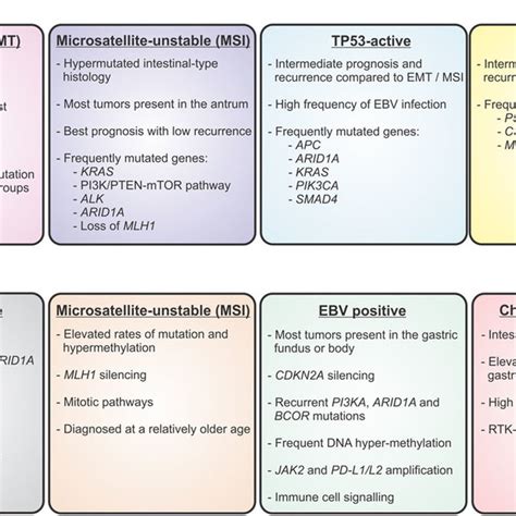 Molecular Characterization Of Gastric Cancer Subtypes Comprehensive