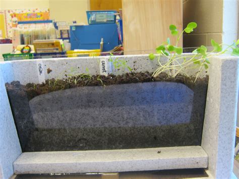 Keyes Kindergarten Grass Heads