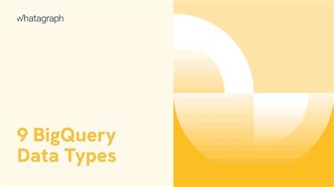 9 most important bigquery data types whatagraph