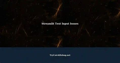 Streamlit Text Input On Change And Button On Click Input Not Working