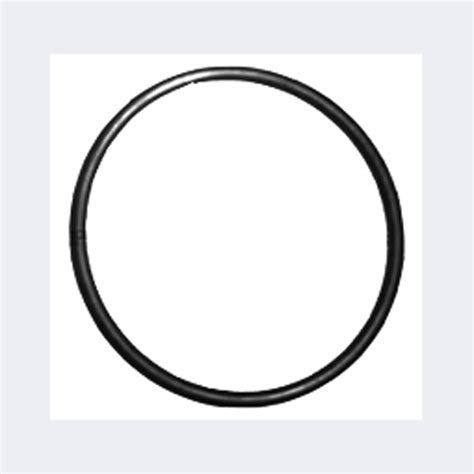 Pool Pro Cpp Cpps Chlorinator Salt Cell Housing Oring Epools Pool Shop