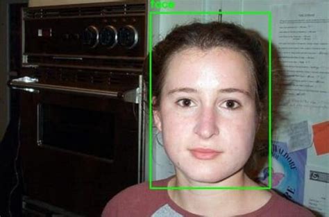 Multi Class Object Detection And Bounding Box Regression With Keras Tensorflow And Deep