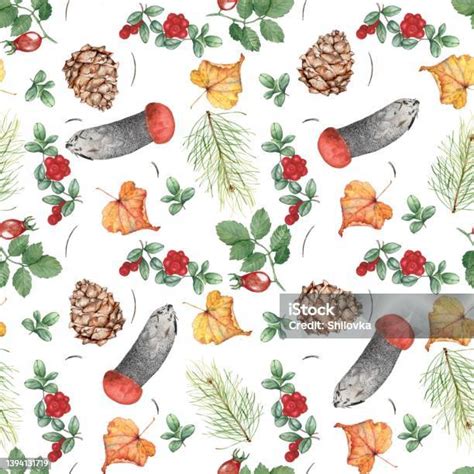 숲 테마와 가을 원활한 패턴 3 수채화 일러스트레이션 손 그리기 0명에 대한 스톡 벡터 아트 및 기타 이미지 0명 10월 9월 Istock