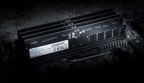 Gold Ddr5 5200 U Dimm Memory Module Adata Indonesia