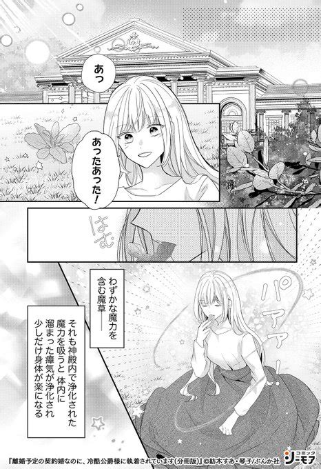 『離婚予定の契約婚なのに、冷酷公爵様に執着されています』 2 4 コミックシーモアpr さんのマンガ ツイコミ 仮