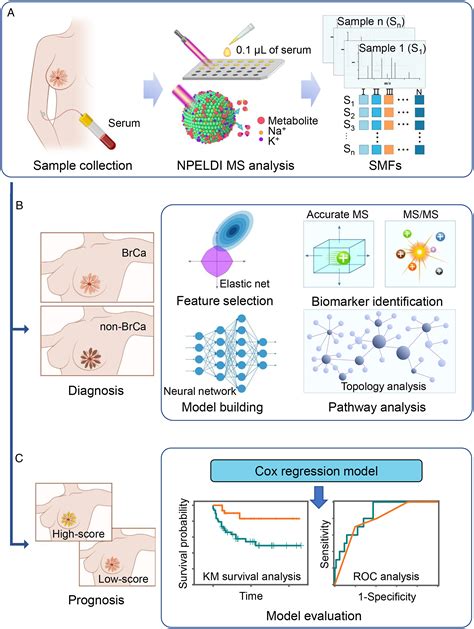 Deep Learning Models For Histologic Grading Of Breast OFF